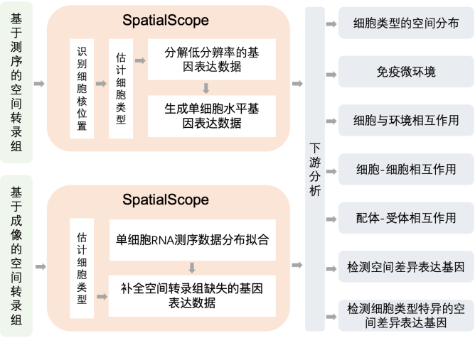SpatialScope: 适用于多平台空间转录组数据的分析工具集 | SRIBD官网
